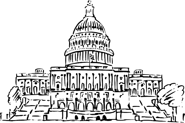 Effective Change Management in Government Organizations